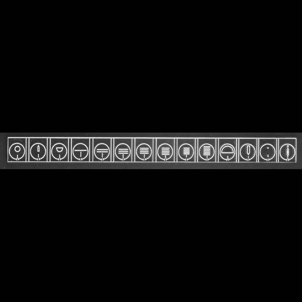 Human Archetype Ruler planes of nature strip replacement – BioGeometry ...