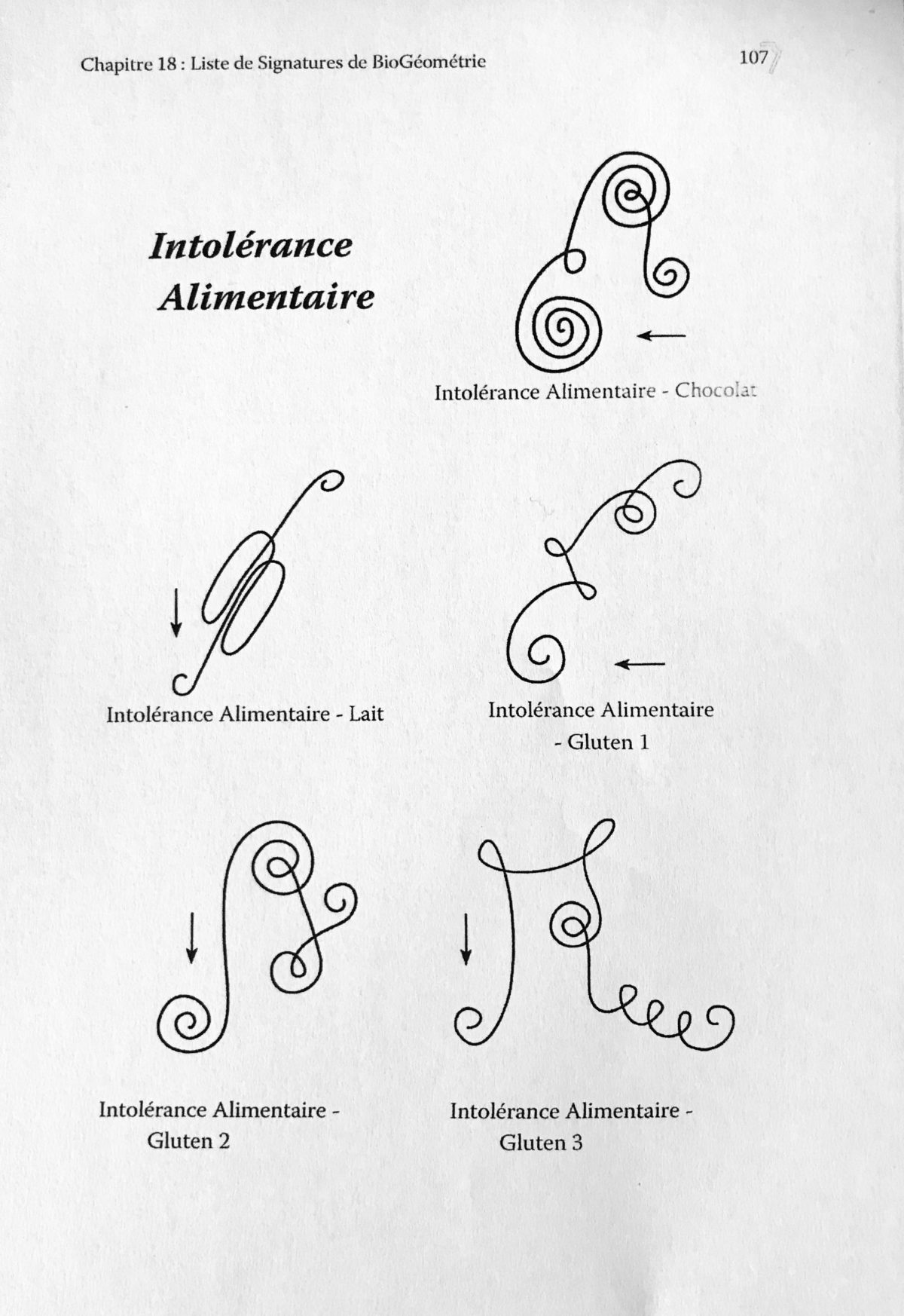Les Signatures de BioGéométrie: Harmoniser l’Échange de l’Énergie ...