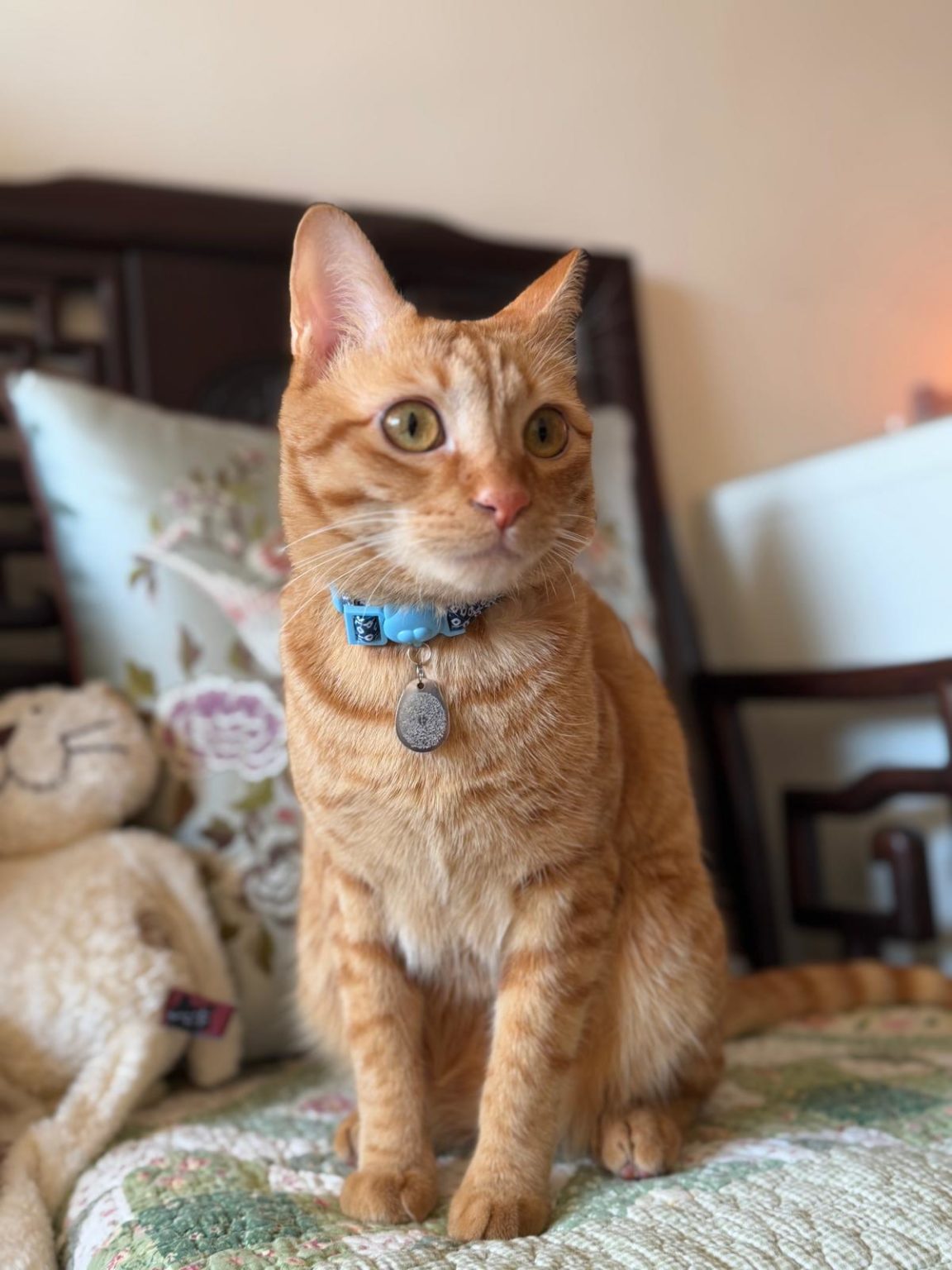 BioGeometry Europe – Harmonizing Universal Energy Quality